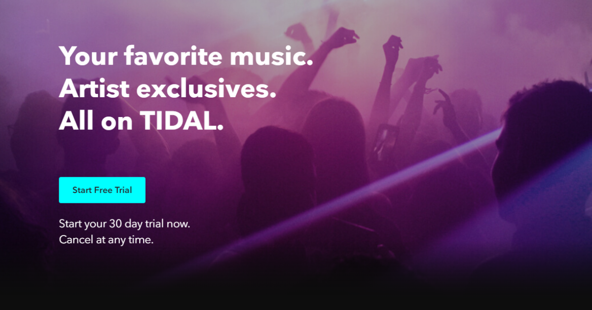 Tidal Review: Its Distinctive Attributes