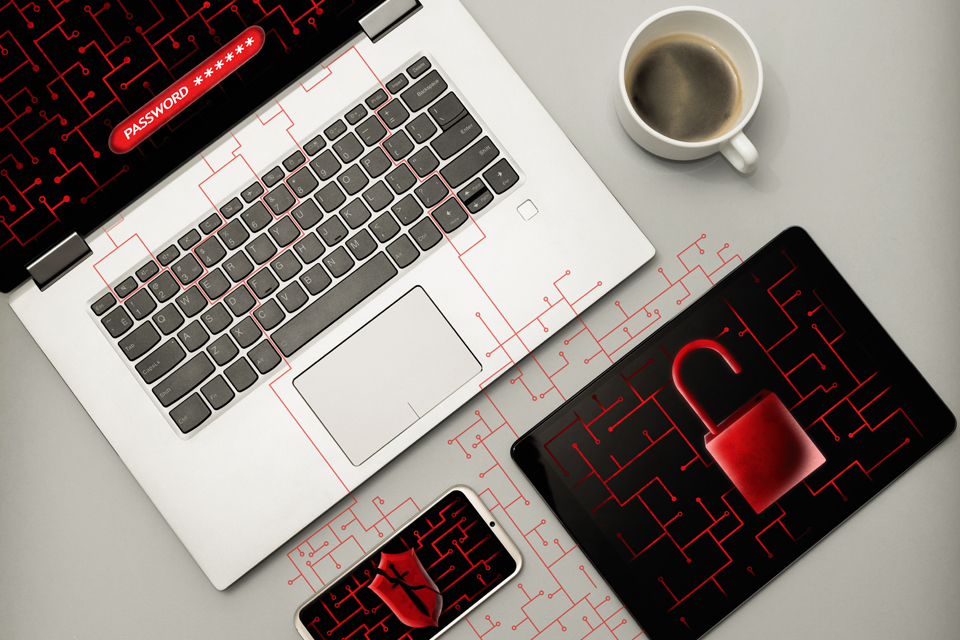 FriedEx Ransomware: Impact and Safety Measures