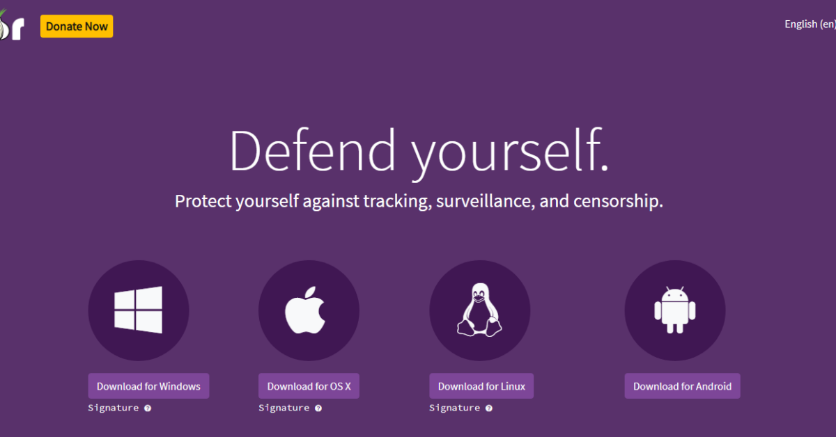 Tor Browser: A Brief Overview